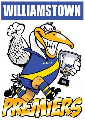 Twin flags for FIDA Seagulls – Scoreboard pressure