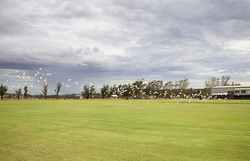 Nabawa, Western Australia – Scoreboard pressure